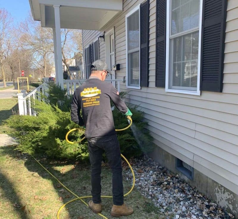 Pest Control Company in Upstate, NY | Bug U Pest Control