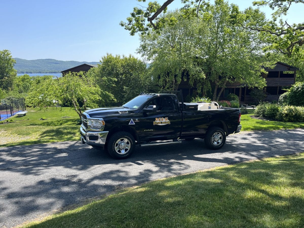 Carpenter Bee Control in Upstate, NY | Bug U Pest Control